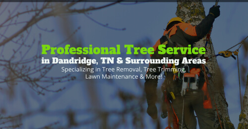Tree Service and Removal "Dandridge TN"